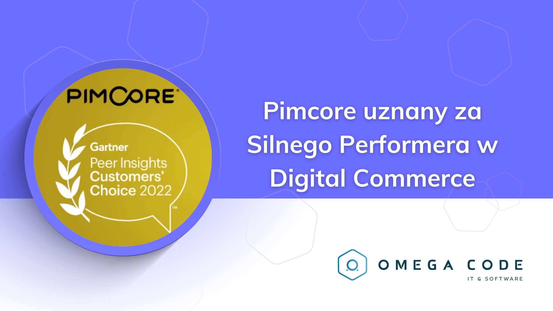 Omega Code | Blog | Pimcore uznany za Silnego Performera w Digital Commerce